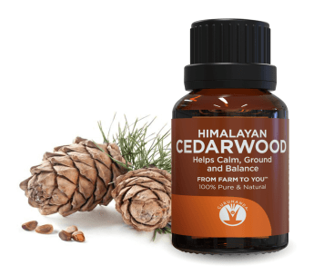 cedarwood-himalayan-oil | Valley Blossoms