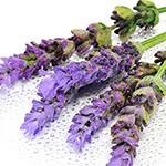 Lavender Mist – 15ml | Valley Blossoms